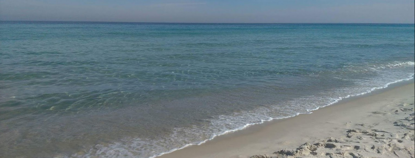 Plage et forêt el Madfoun, Hergla, Sousse. - Wildly